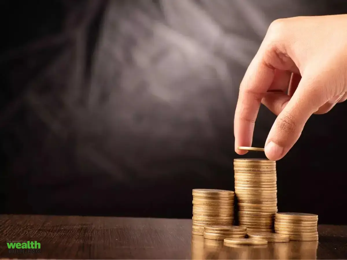Computer Age Management Services - Top 10 smallcap stocks where MFs ...