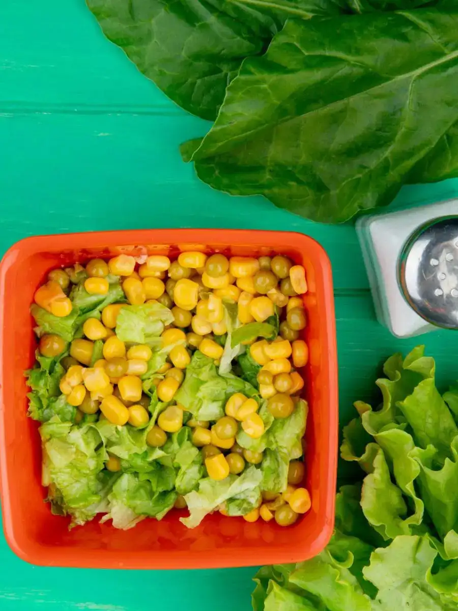 10 Protein-Packed Vegetables That Outshine Eggs | NewsPoint