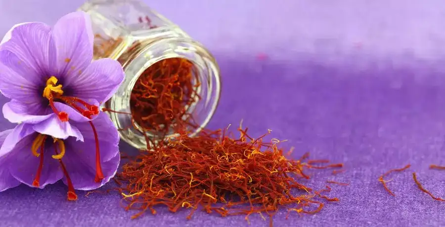 How to identify the best quality kesar? | EconomicTimes