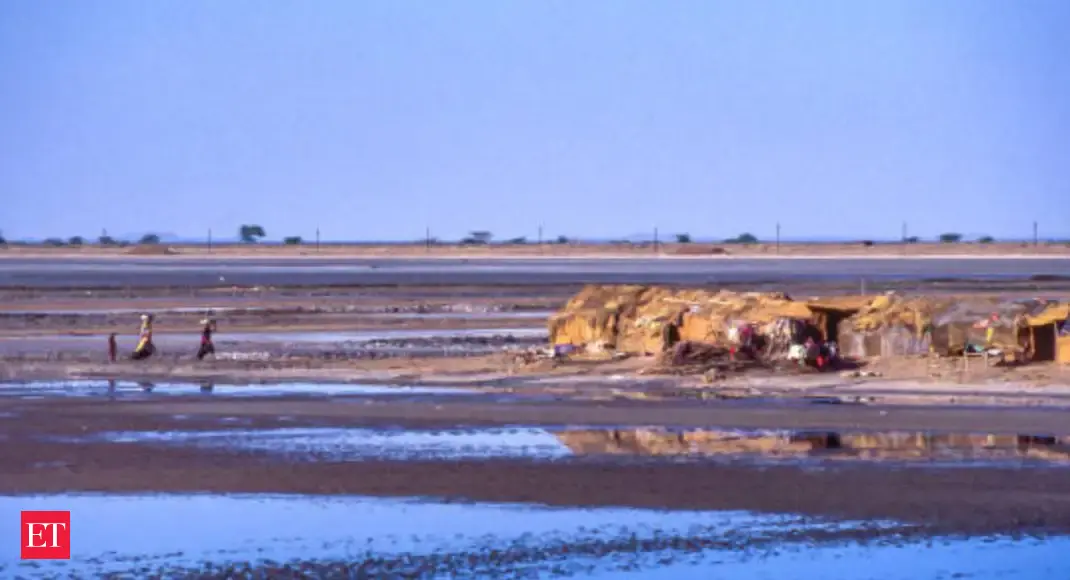 Most well-liked weekend trips from Gujarat - Rann of Kutch | The ...