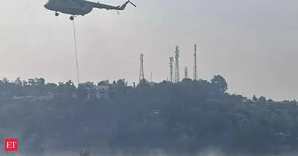 Nainital forest fire: Nainital forest fires: 8 fresh forest fires in 24 ...