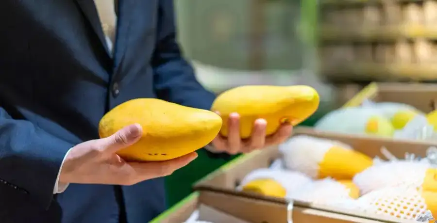 Tips to choose the best mango from the market | EconomicTimes
