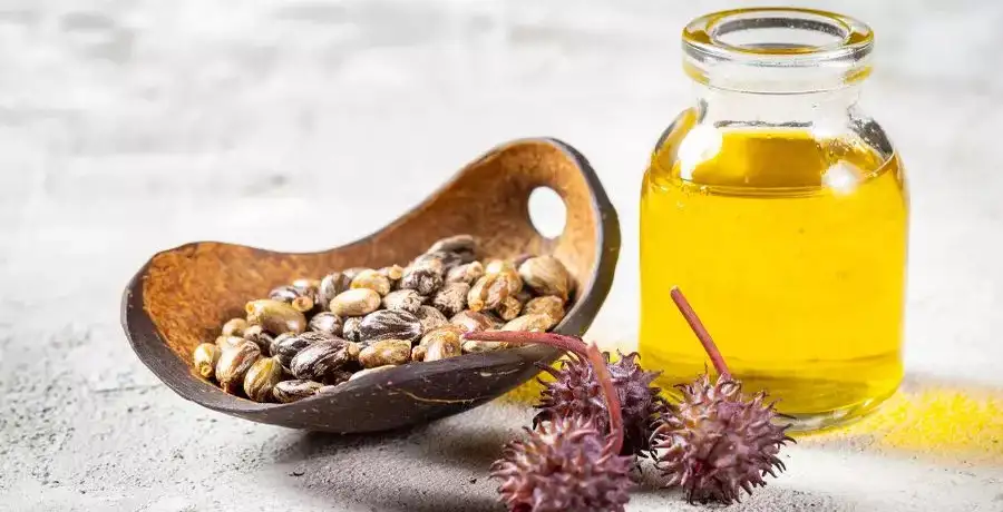 How to use castor oil properly for hair growth in weeks? | EconomicTimes