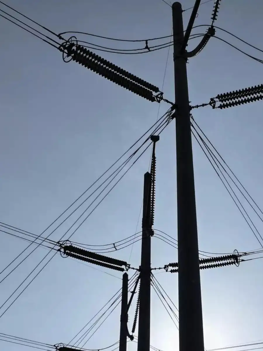 power stock gainers: Power index surges ahead: 5 stocks soar up to 80% ...