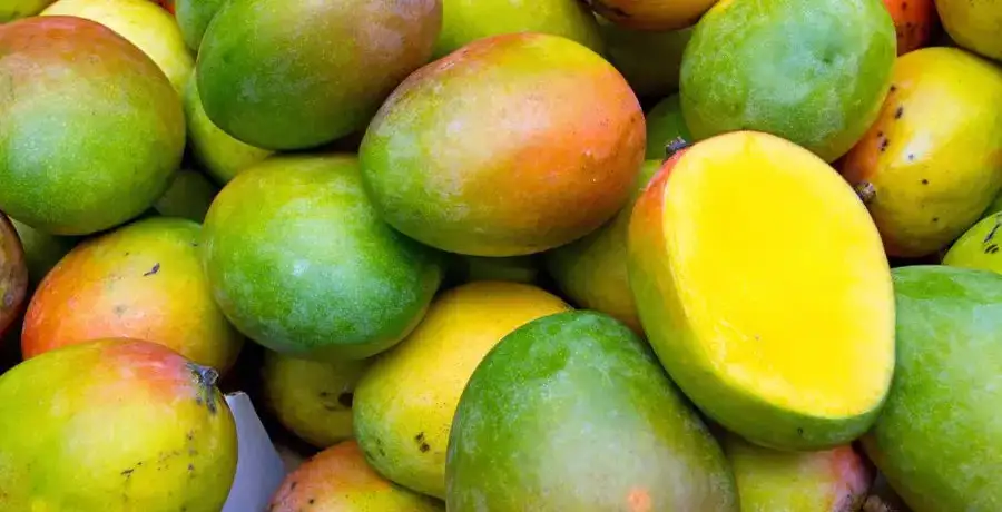 Benefits of mango skin and how to use them | EconomicTimes