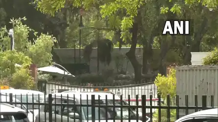 Election Results 2024 Live Updates: Kharge hints at outreach to like ...