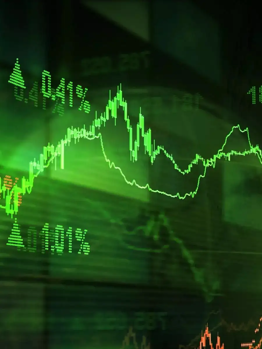 7 stocks held by over 100 MFs in May surge 50-100% in CY24 | EconomicTimes