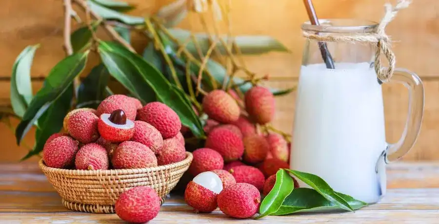 Refreshing summer drink with real fruits: How to make litchi shake ...