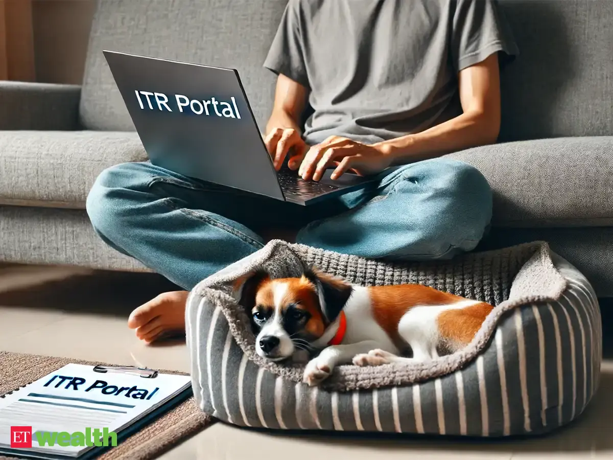 What details can be updated - ITR portal profile update: How to update ...