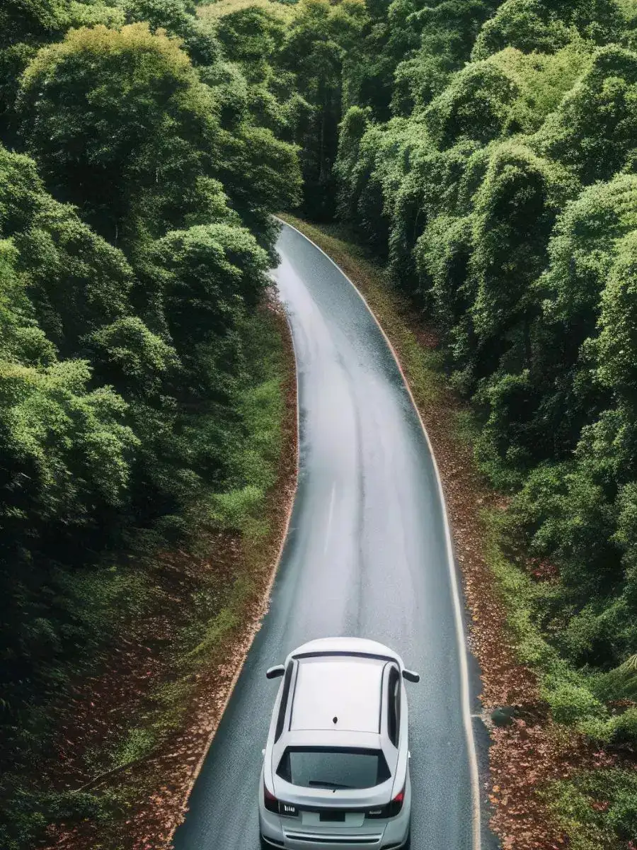 Adventure Beckons: India's Most Picturesque Road Trips | NewsPoint