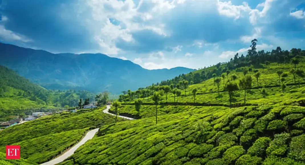 Coorg - Breathtaking locations in South India for your next travel ...