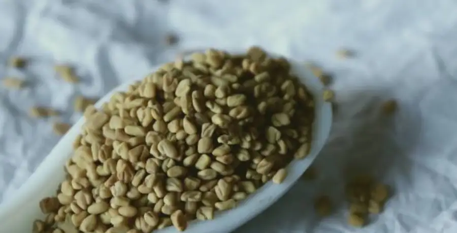 8 methi dishes to enjoy in this monsoon season | EconomicTimes