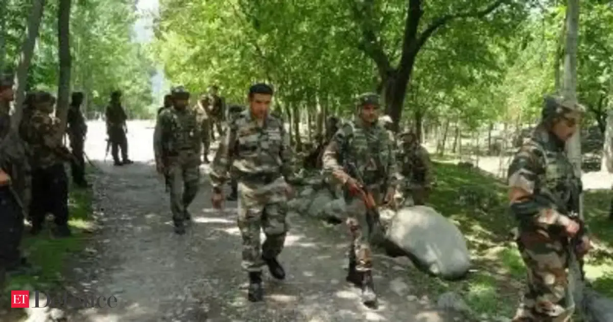 Joint search op launched following suspicious movements in Poonch, Reasi - The Economic Times