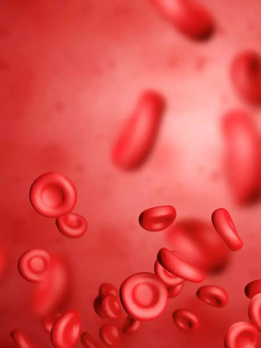 Boosting Your Platelet Count Naturally: Simple And Effective Tips ...