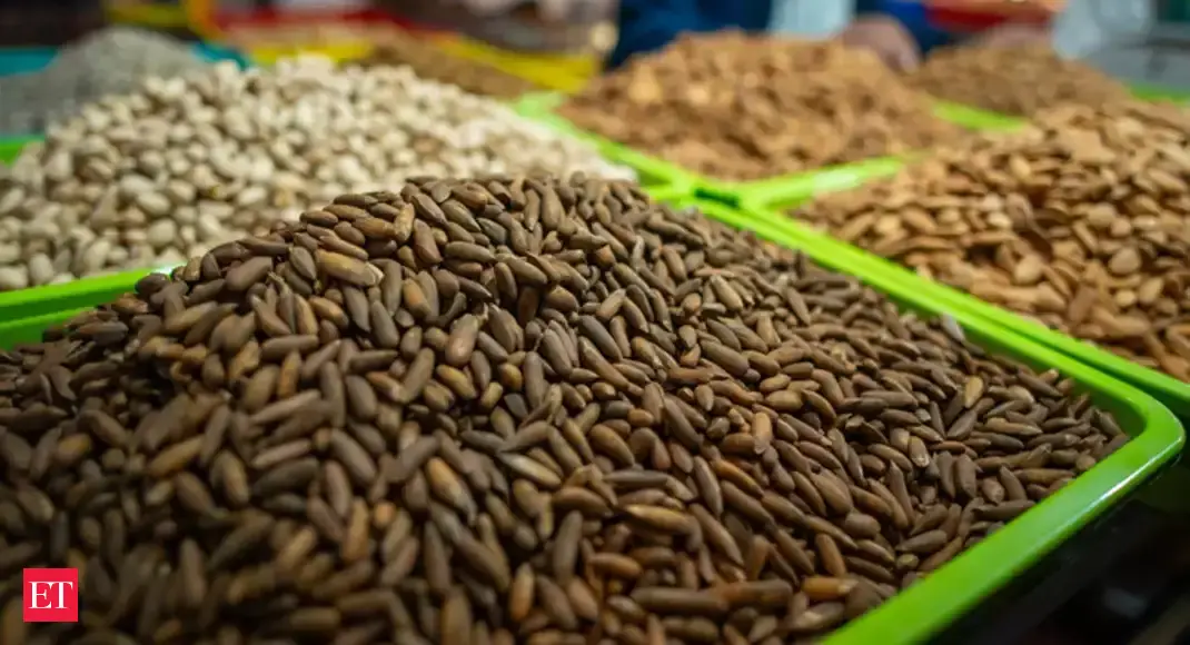 Explore lesser-known Indian nuts: Chilgoza, Chiraunji & their benefits ...