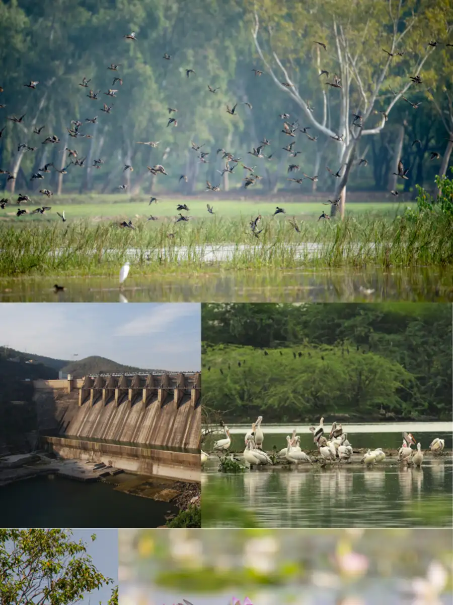 India's newest additions to the Ramsar convention list | EconomicTimes