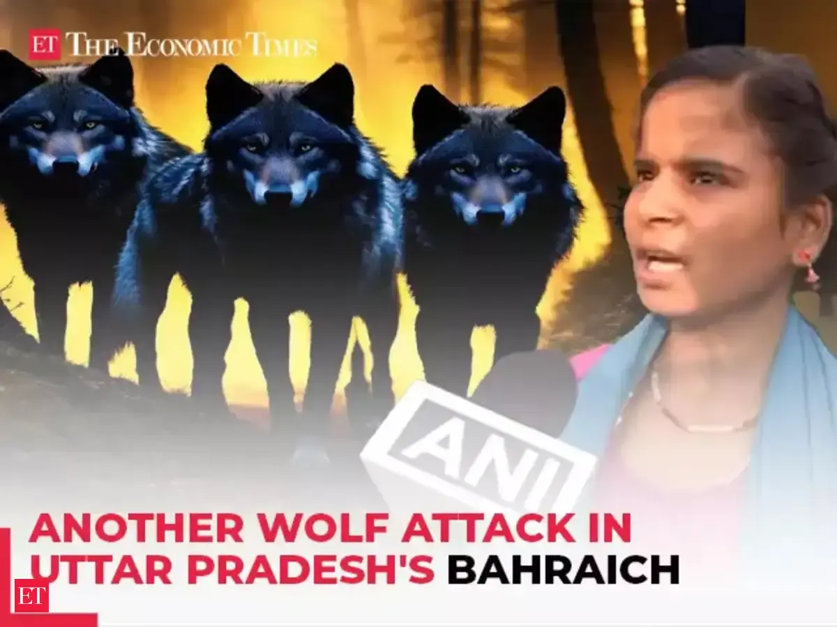 Wolf menace in UP: 12-year-old becomes latest target of man-eater ...