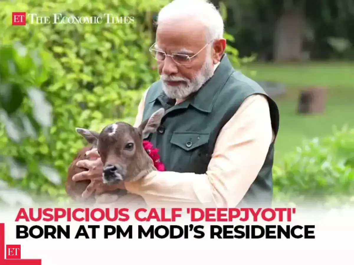 Meet PM Modi's new family member, ‘Deepjyoti’ - The Economic Times ...