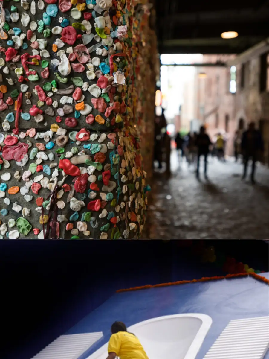 The 9 weirdest museums in the world | EconomicTimes