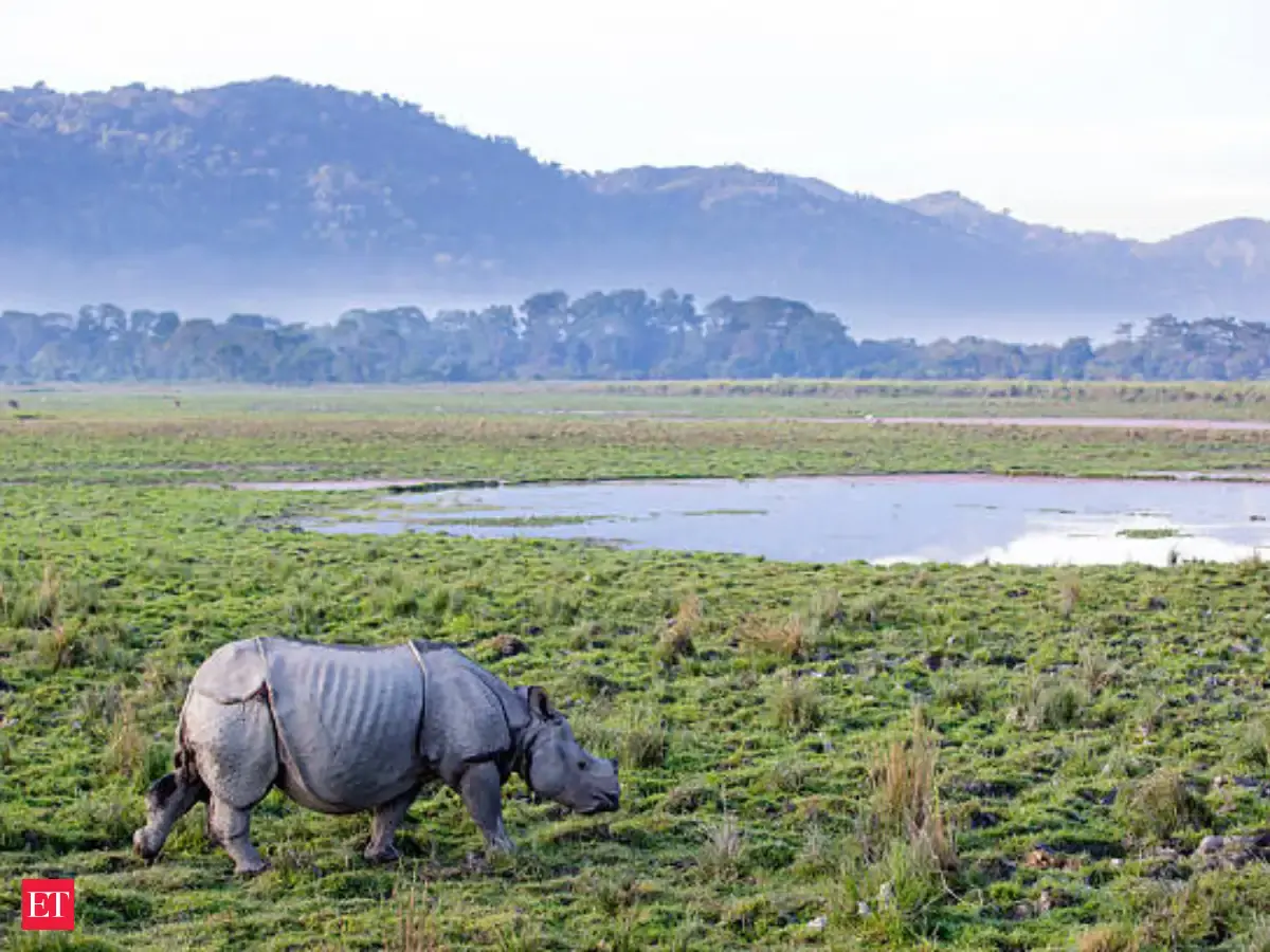 Want a change of scenery? Here are the best places to explore wildlife ...