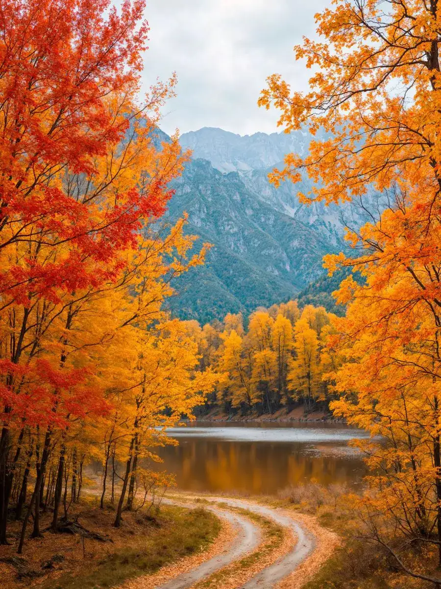 Autumn's Best Bites: Fruits That Elevate Your Fall Nutrition | NewsPoint