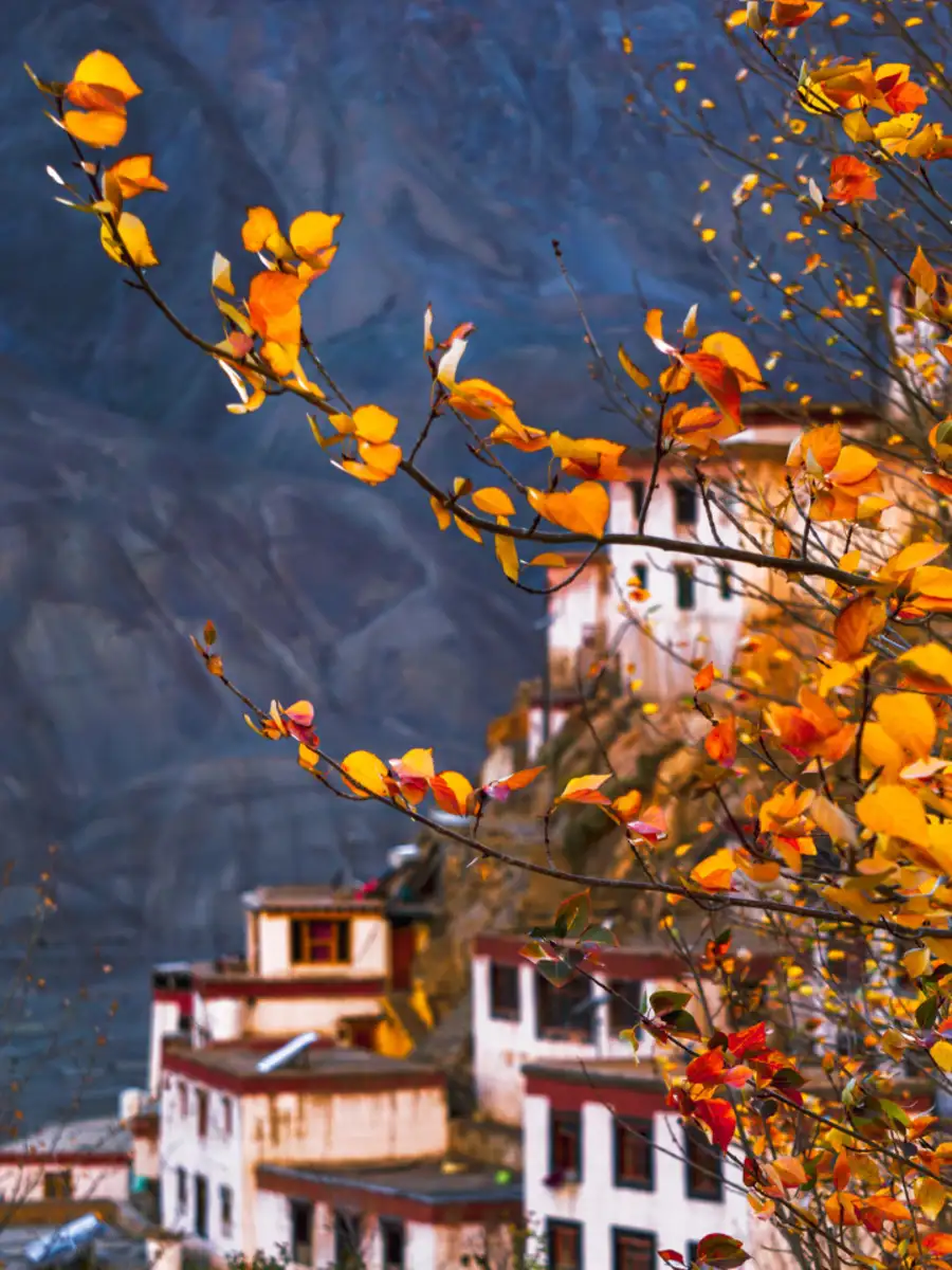 10 stunning autumn destinations in India for a picturesque getaway ...