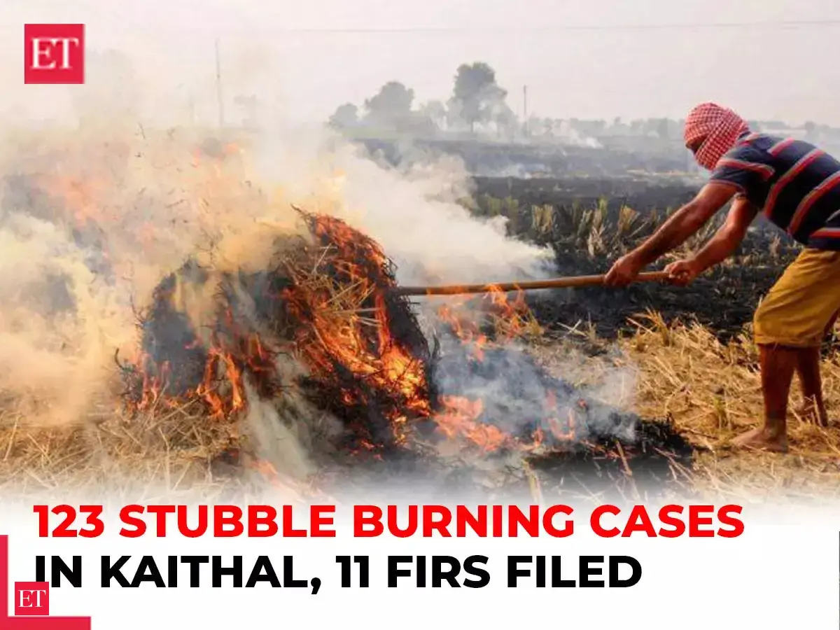 123 Stubble burning cases in Haryana's Kaithal, 11 FIRs filed: DC Vivek ...