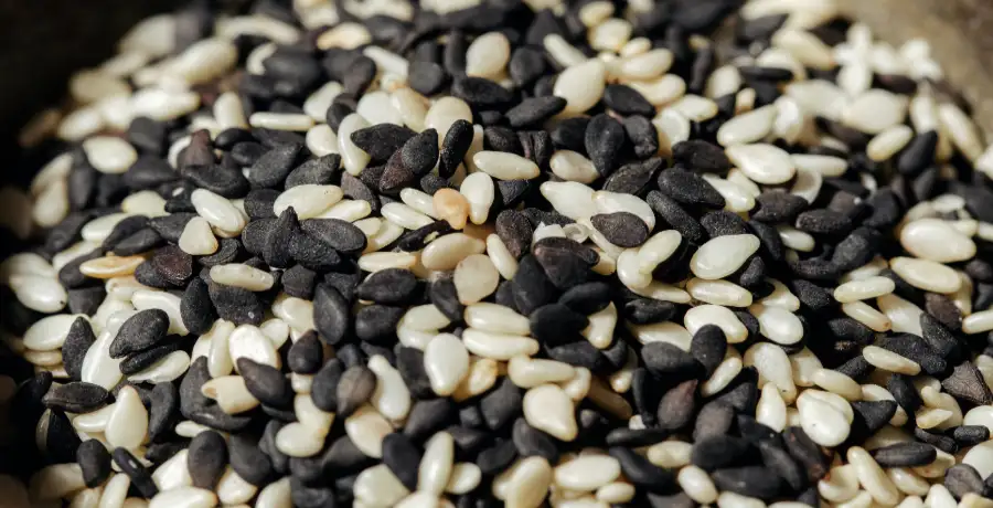 9 reasons sesame seeds are a daily superfood | EconomicTimes