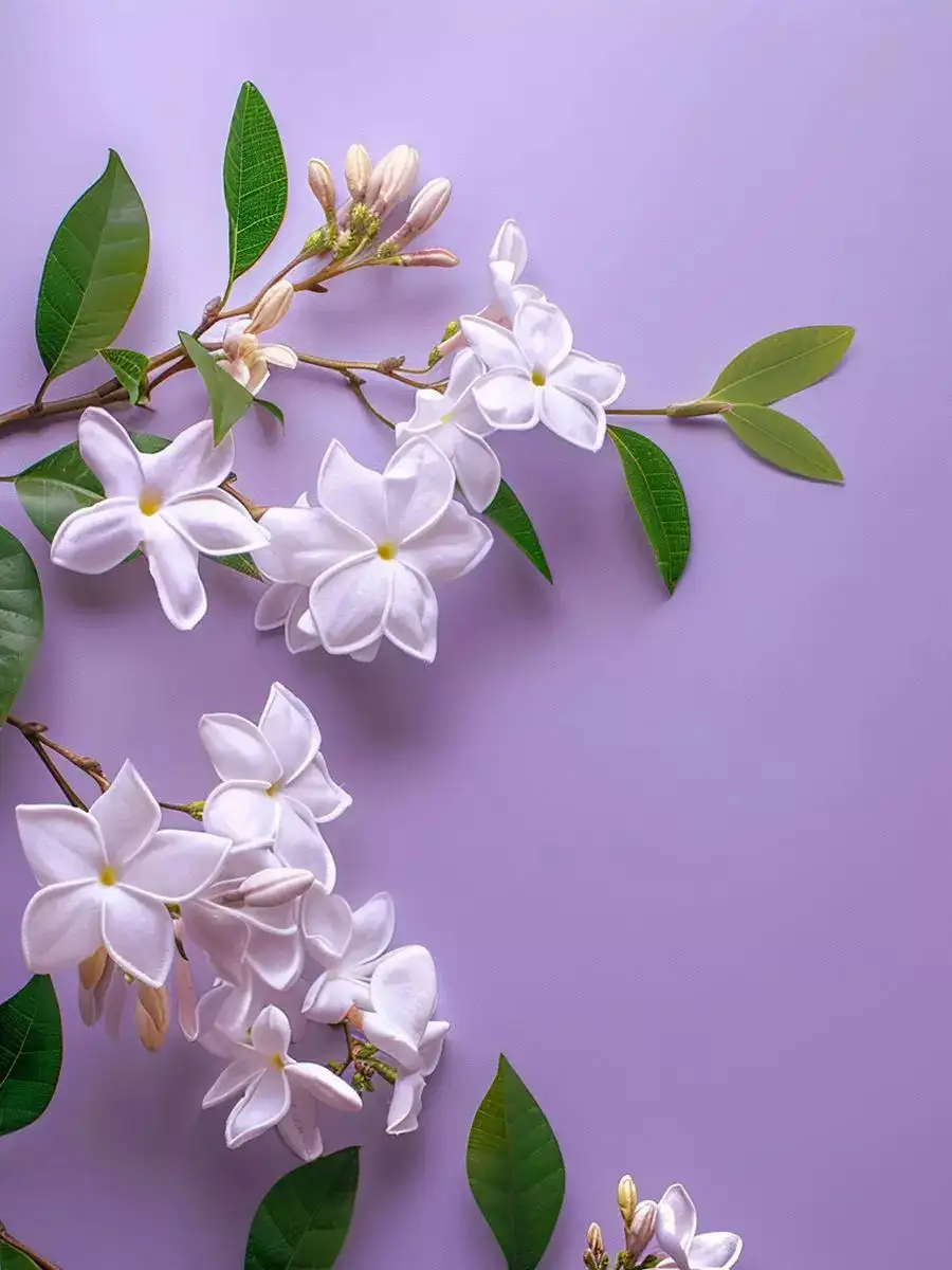 The Most Aromatic Flowers To Fill Your Space With Scent | NewsPoint