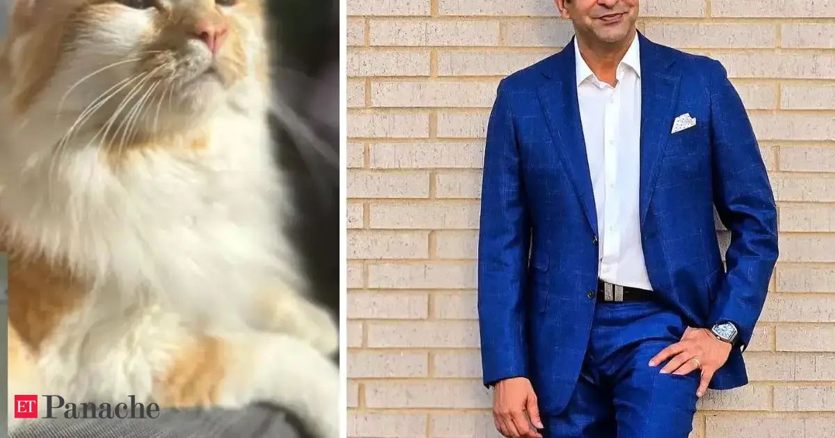 Meet Wasim Akram's cat Leo that just got a Rs 2 lakh haircut. Cricket ...