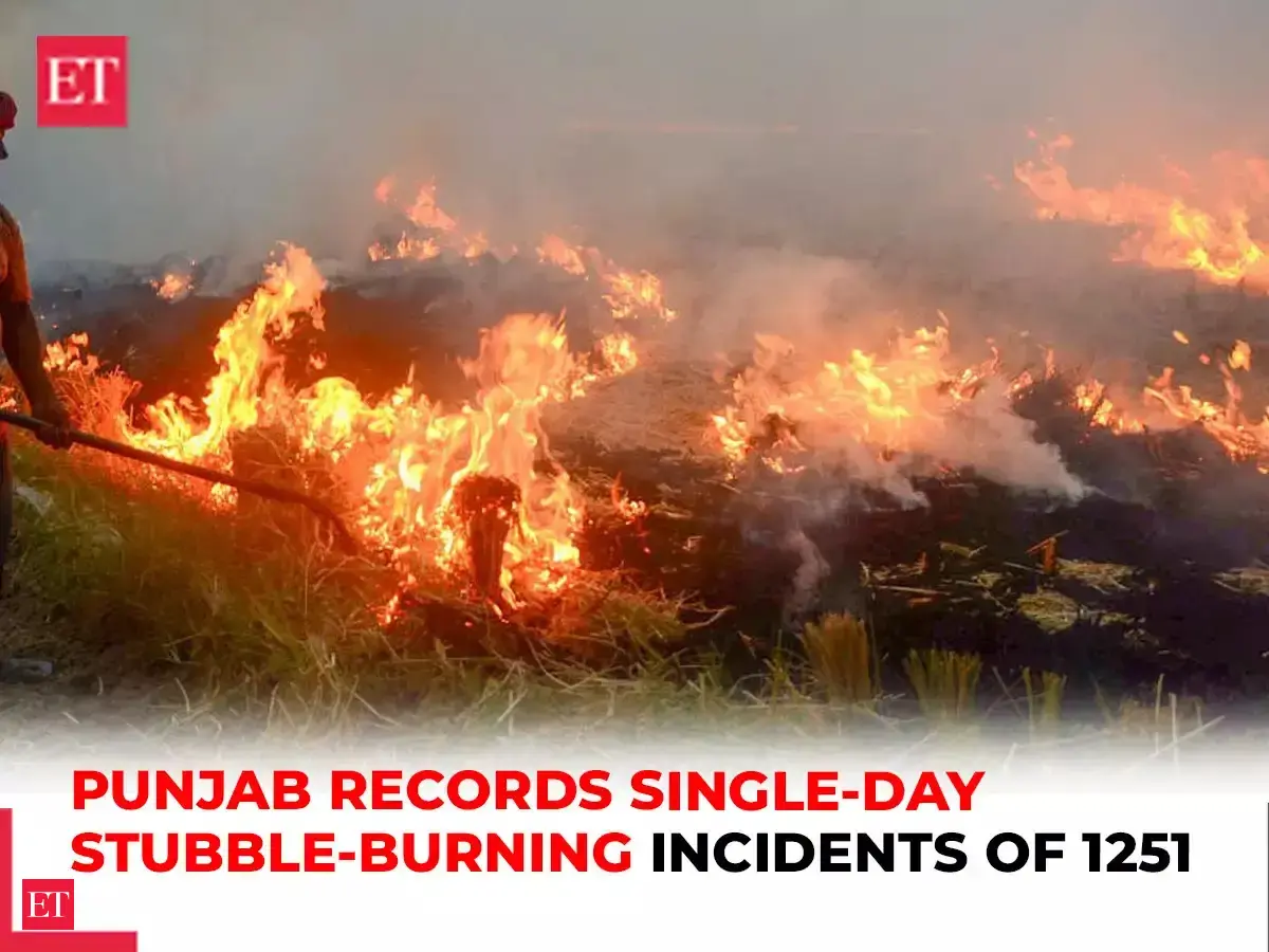 Punjab records highest single-day stubble burning incidents of 1251 ...