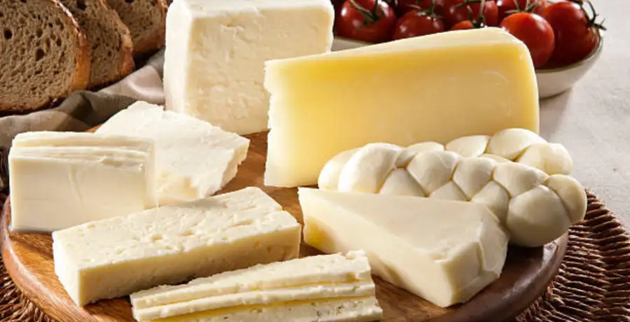 9 effective ways to use cheese for weight loss | EconomicTimes