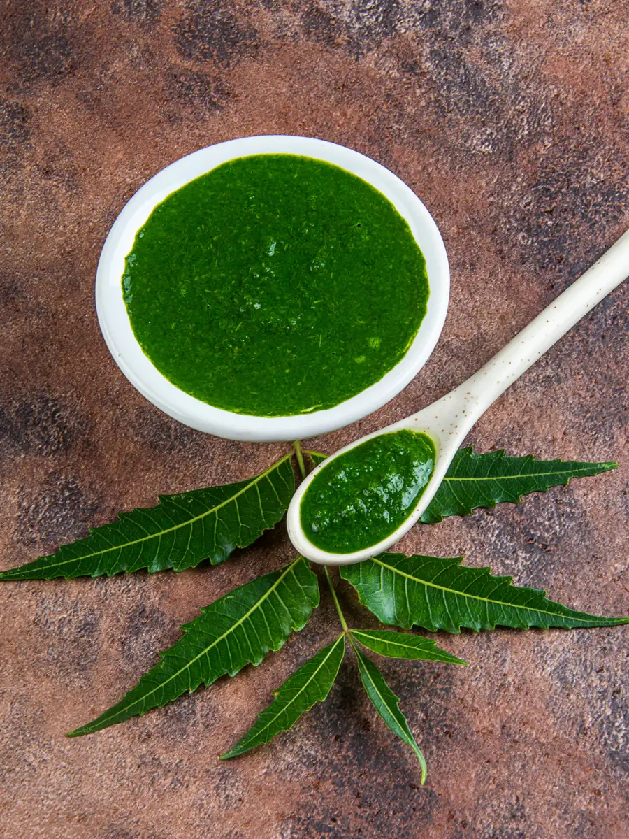 9 health benefits of adding neem leaves to your meals | EconomicTimes