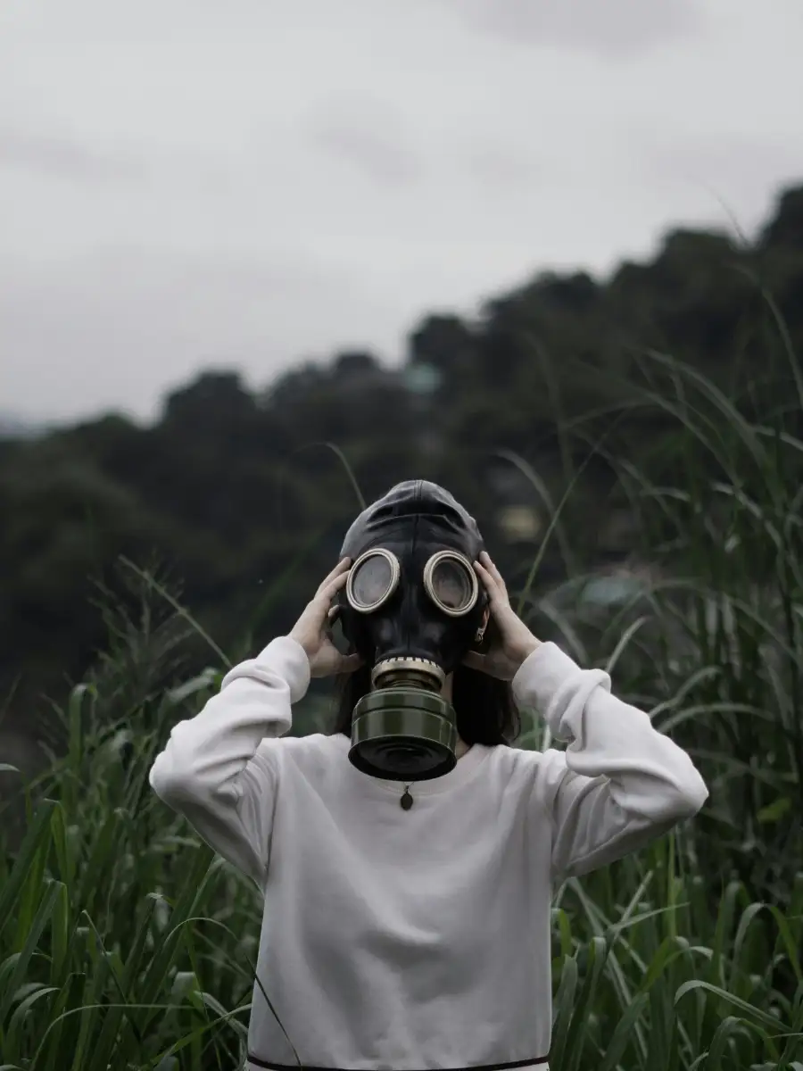 Chernobyl's Resilient Canines: Mutated Dogs Thrive in Toxic Legacy of ...