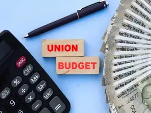 Union Budget 2025: Pharma, healthcare sectors seek 3 per cent hike in ...
