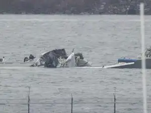 Did the Black Hawk helicopter cause the DC mid-air crash? New flight ...