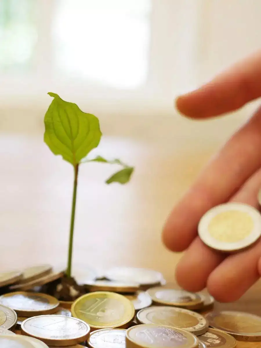 What's the role and importance of debt mutual funds in portfolios ...