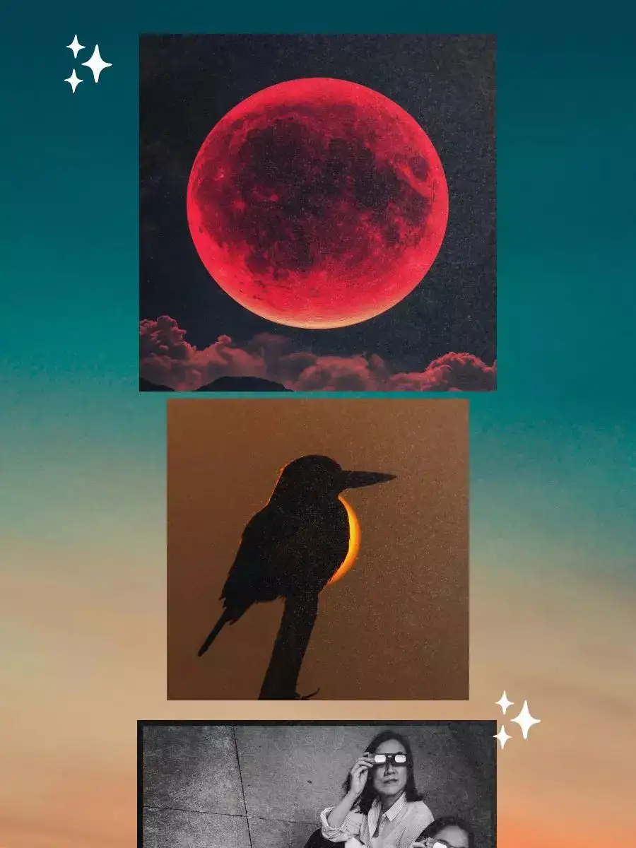 The Cosmic Dance 10 Amazing Things You Didn’t Know About Solar Eclipses ...