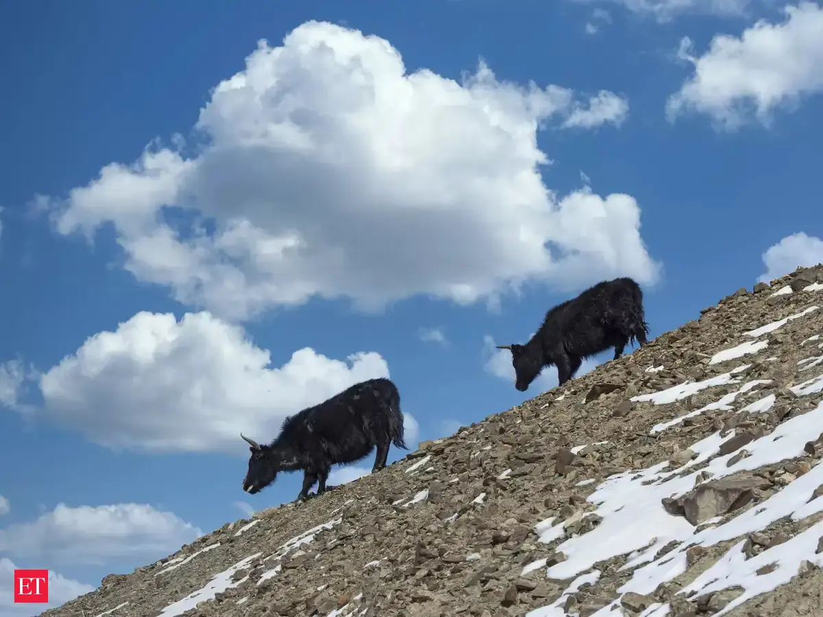India’s 6 biggest National Parks every wildlife lover must visit ...