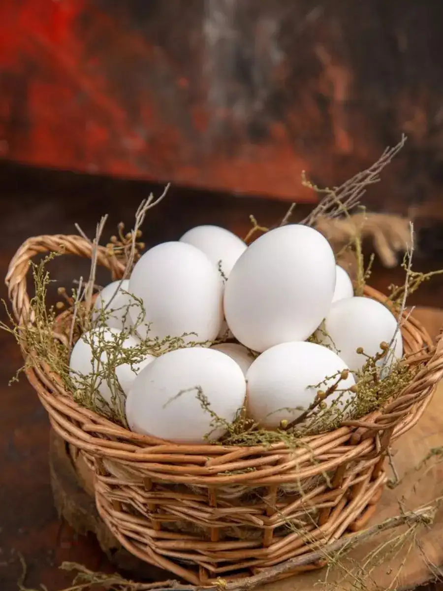 10 Best Foods Rich In Vitamin B12 You Should Eat Daily | NewsPoint