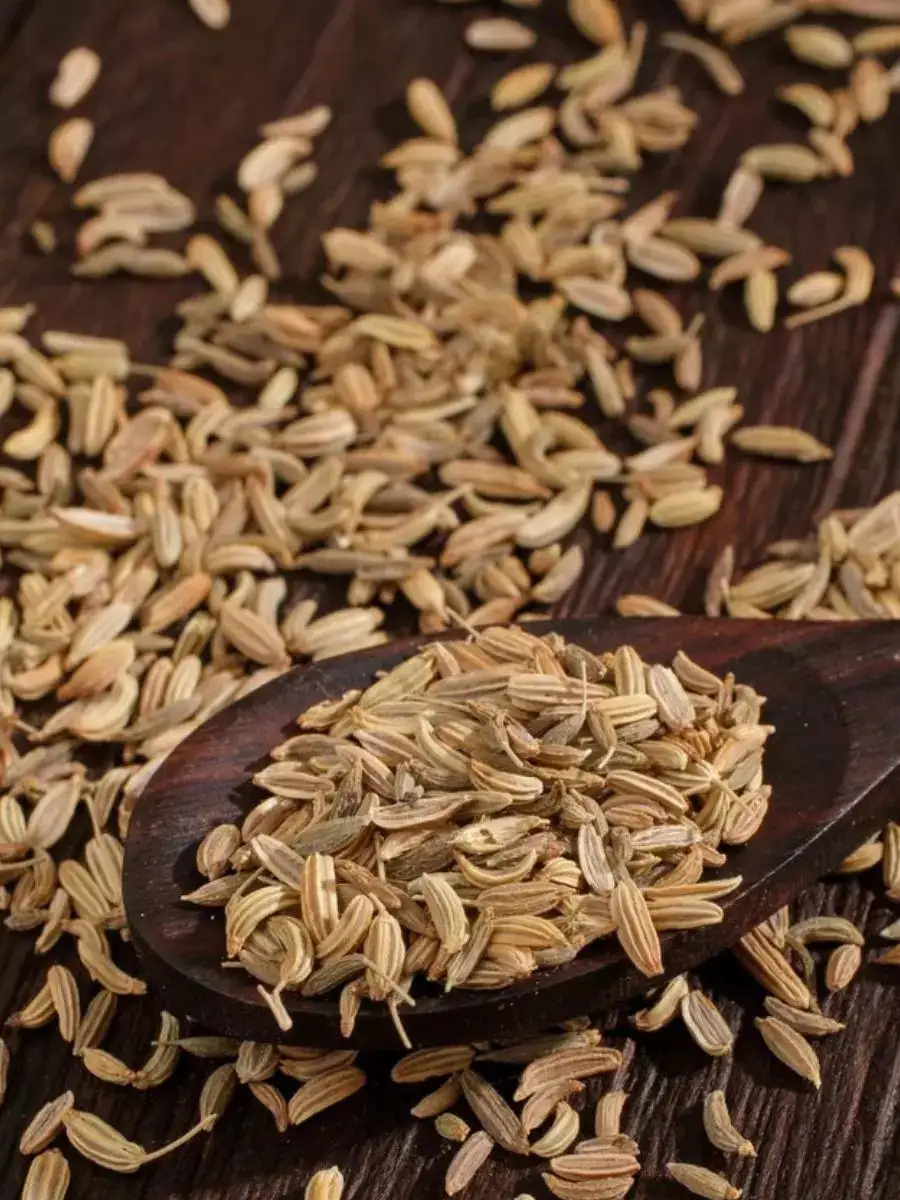 Top 10 Health Benefits of Saunf (Fennel Seeds) You Must Know | NewsPoint