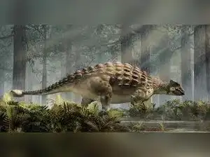 north america: Paleontological Breakthrough: Evidence Shows Three-Toed ...