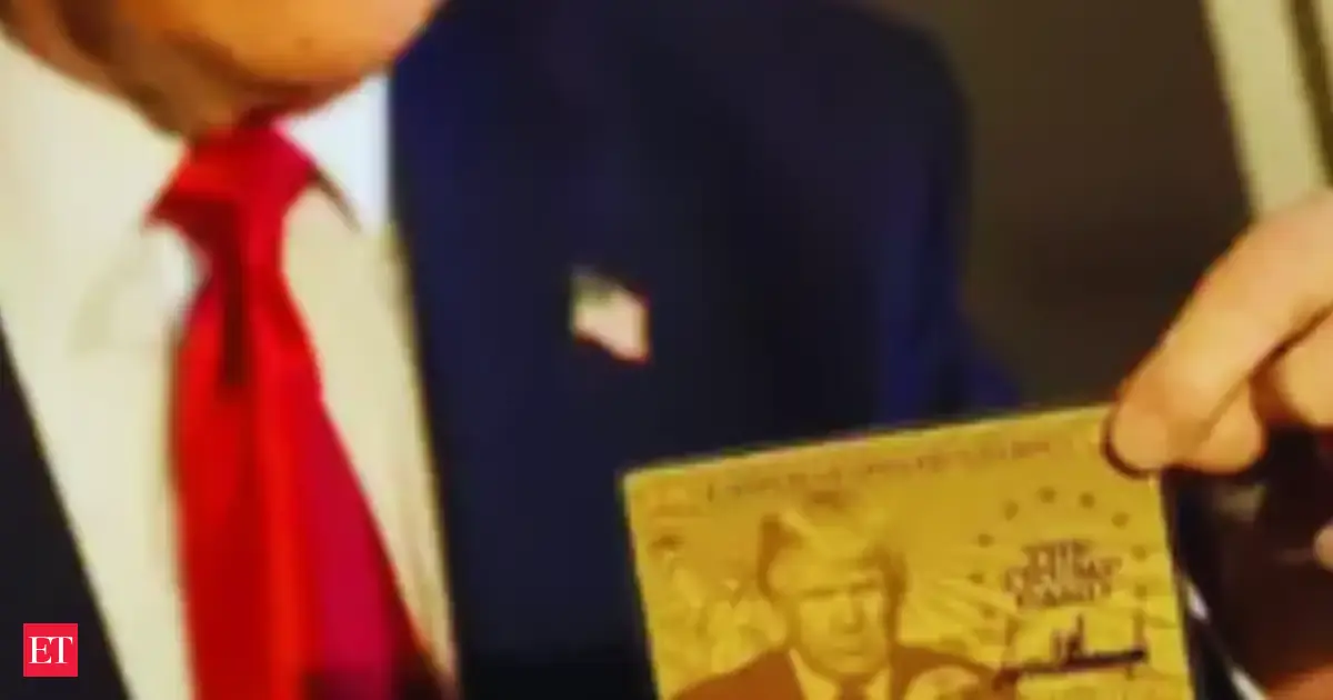 Musk's team is building a system to sell 'Gold Card' immigrant visas ...