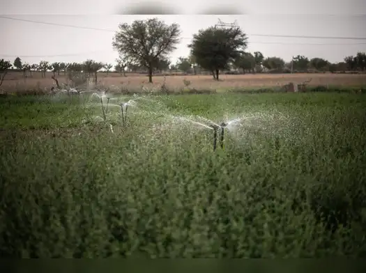 Irrigation sector stocks: Opportunities at a macro level: 5 stocks of companies which help in ...