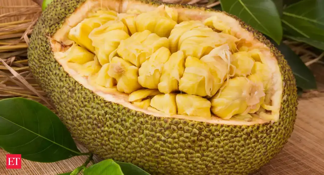 Why you should eat kathal this summer: 6 surprising health benefits ...