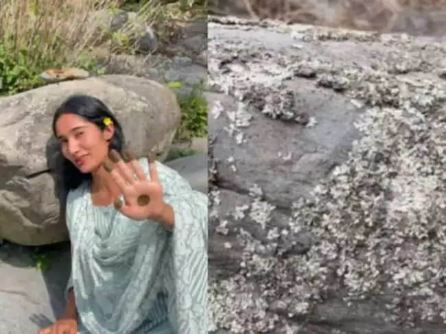 Himachali woman’s stone mehndi is a love letter to her roots. Check ...