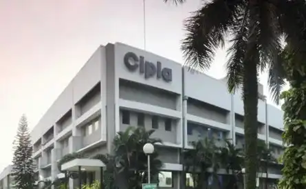 Cipla Share Price Highlights: Cipla Stock Price History - The Economic ...