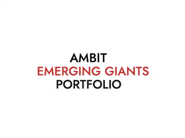Ambit Investment Advisors Pvt Ltd – Emerging Giants - 8 high-performing ...