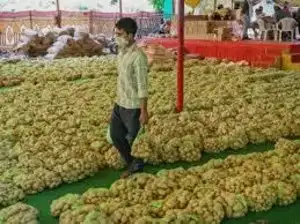 Average mandi prices of major food crops ruling below MSP: RBI article ...