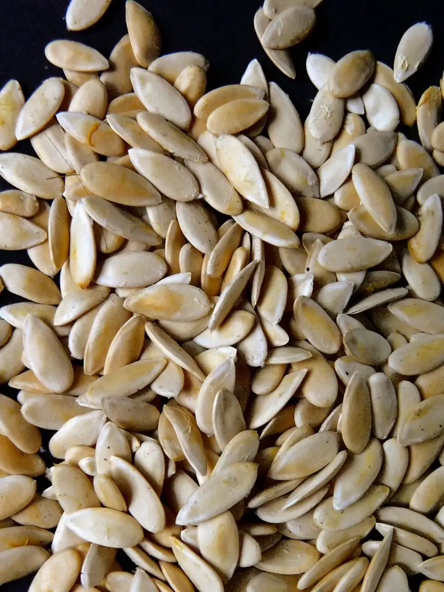 8 surprising health benefits of musk melon seeds you should know ...